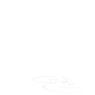 Silverback Interactive